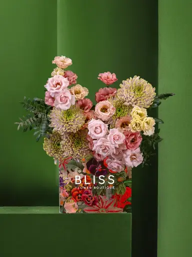 Products | Bliss UAE